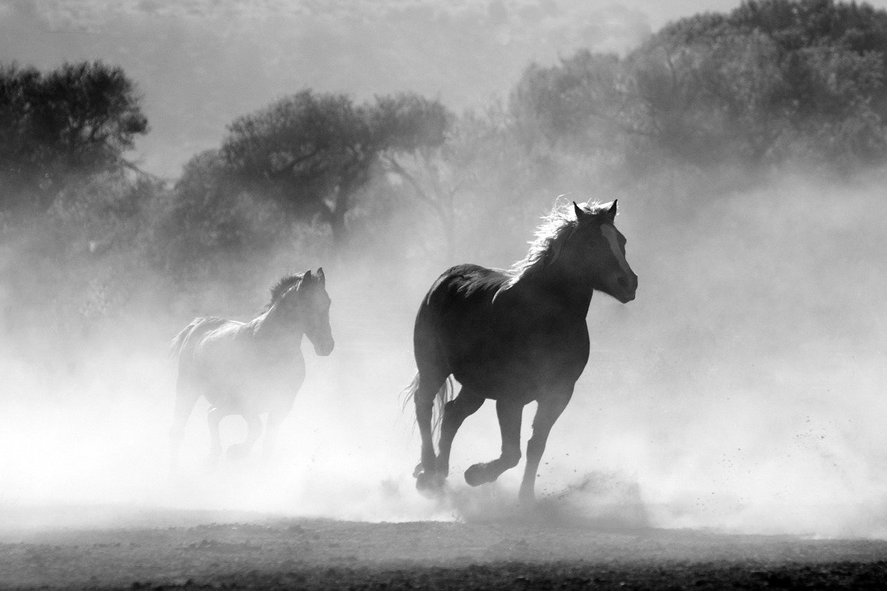 If thou hast run with the footmen - Holy Bible | Evangelium Of Grace